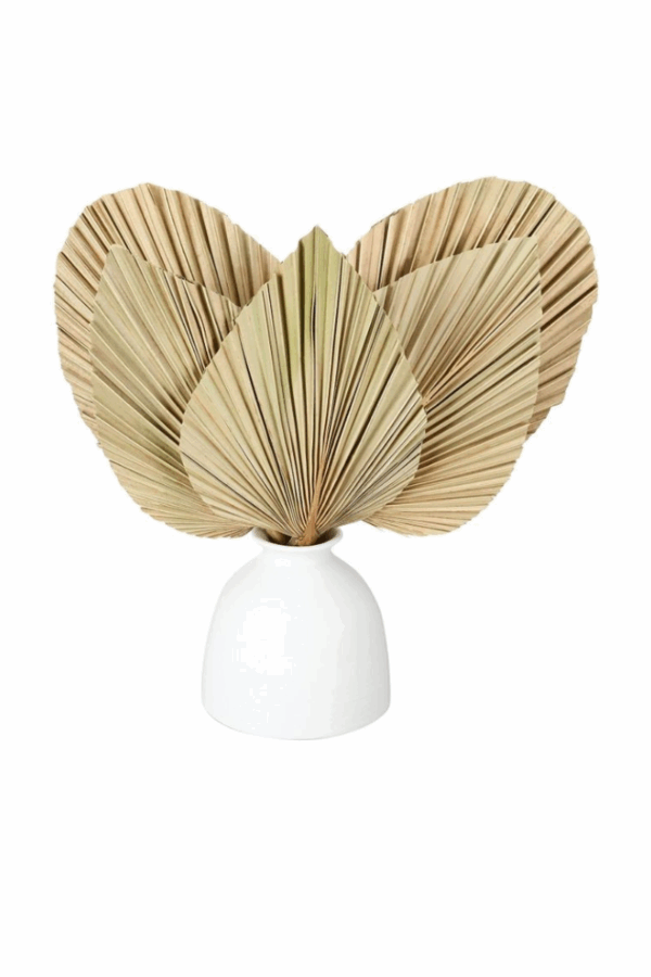 Top 10 Fall Stems for Your Home - Angela Rose Home